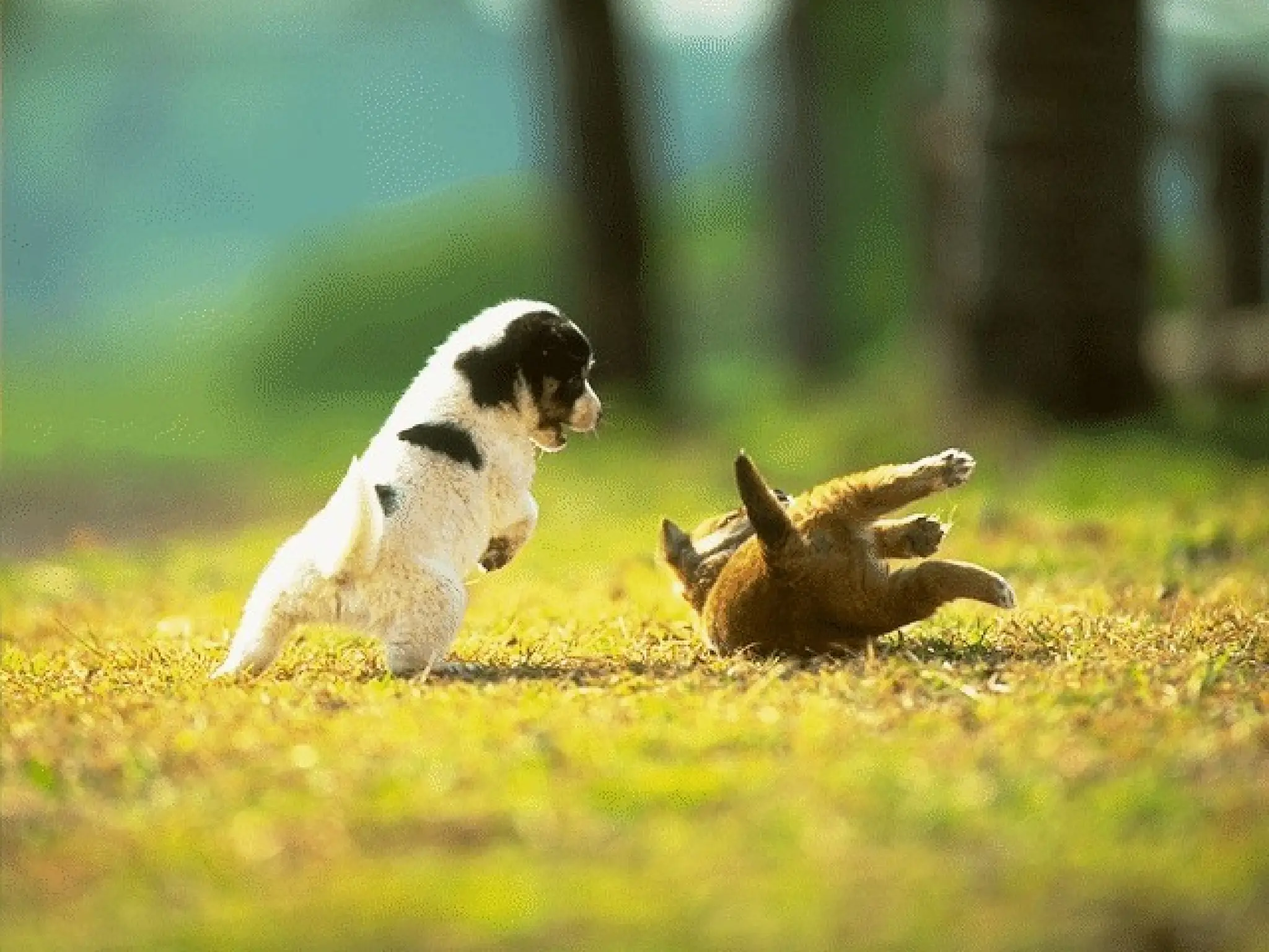 present-simple-and-continuous-flashcards-fun-activities-games-grammar ...