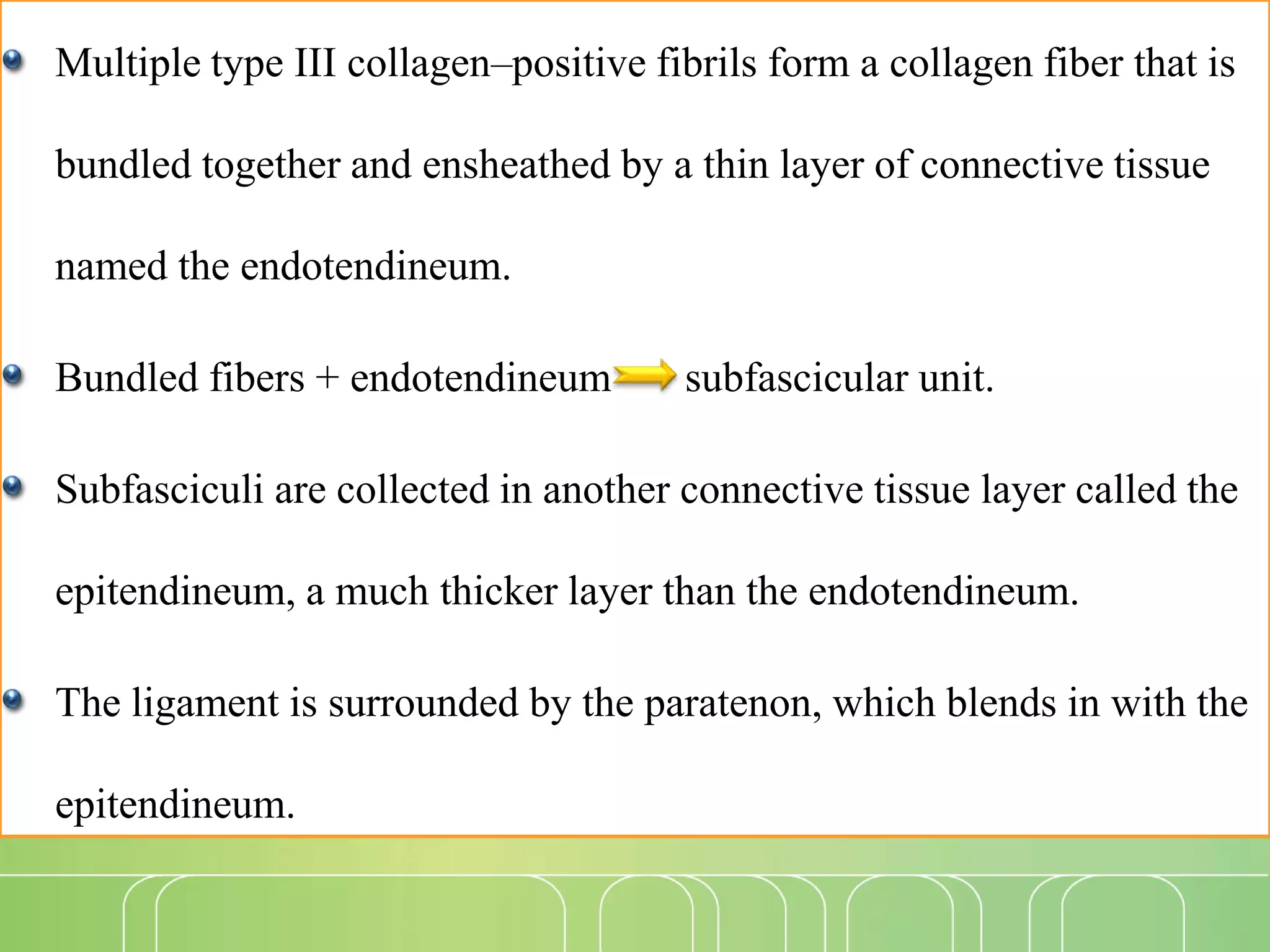 ACL rehabilitation | PPTX