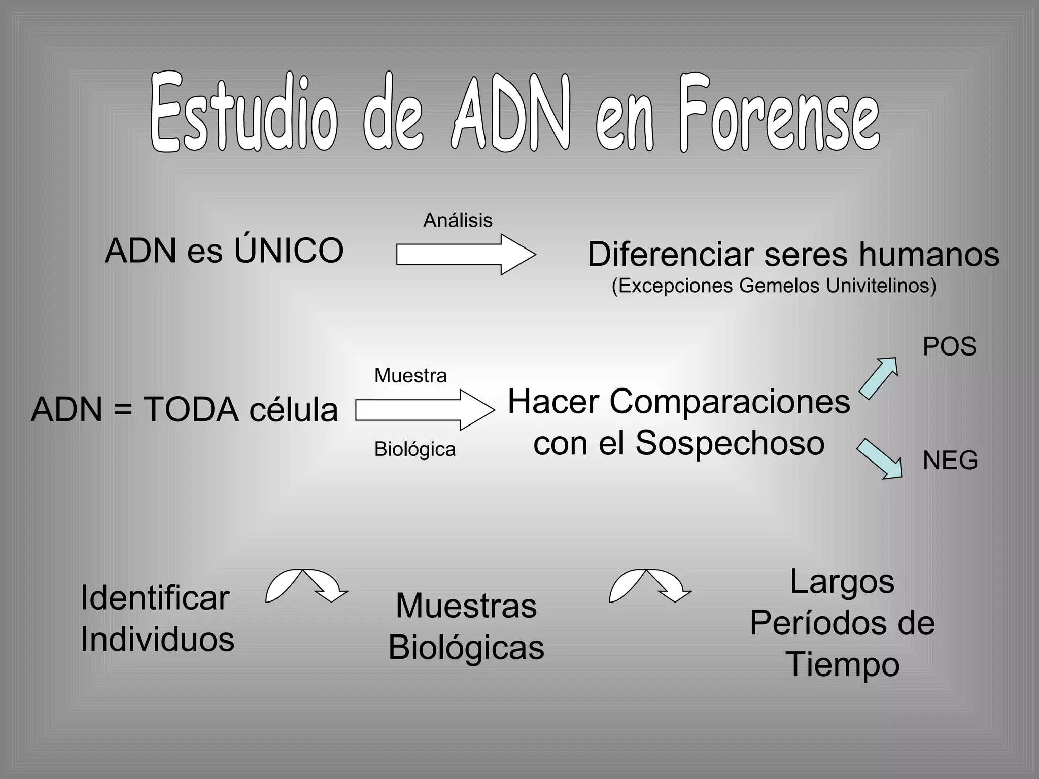 Analisis Forense en ADN | PPT