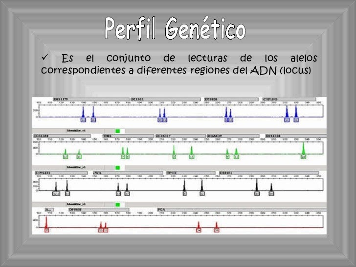 Analisis Forense en ADN