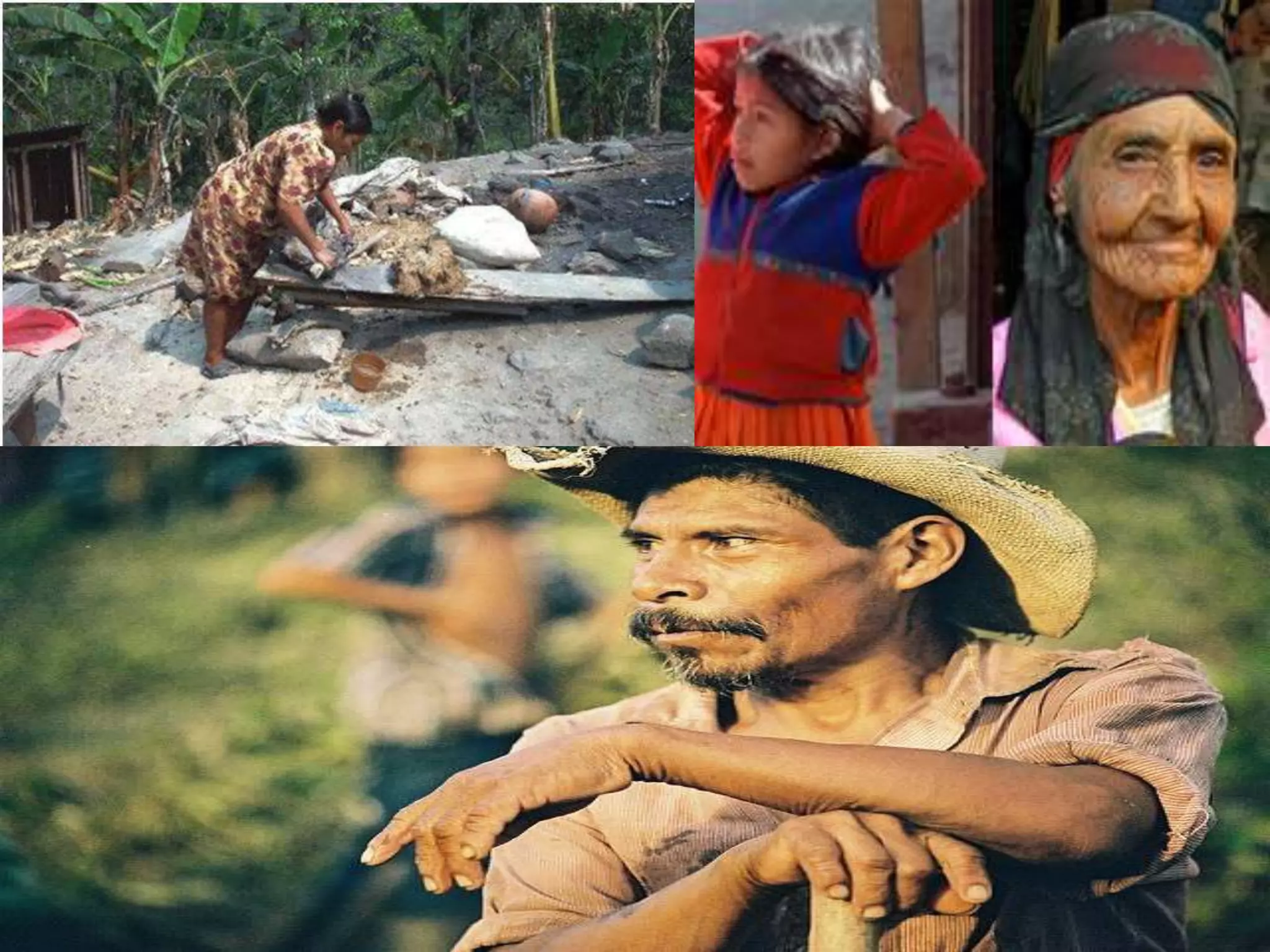 Los Chortis | PPT