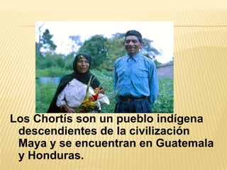Los Chortis | PPTX
