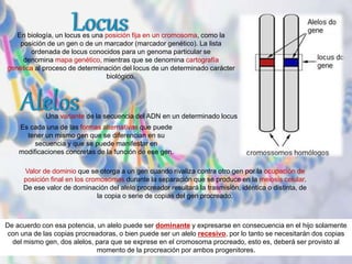 Genética y Conducta | PPTX