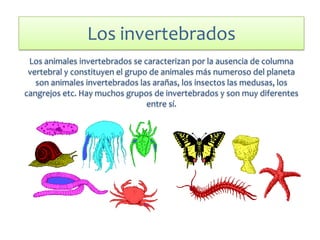 Presentac..[1] invertebrados (1) | PPTX
