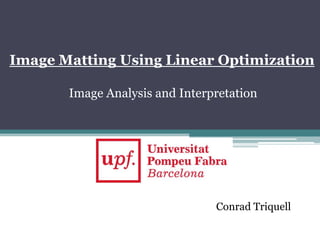 Image Matting Using Linear Optimization | PPT