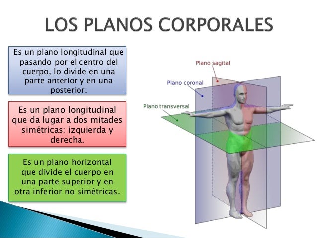 Planos de referencia y líneas de dirección.