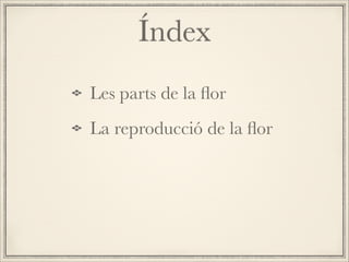 Presentación csda | PDF