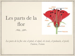 Presentación csda | PDF