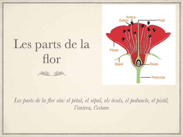 Presentación csda | PPT