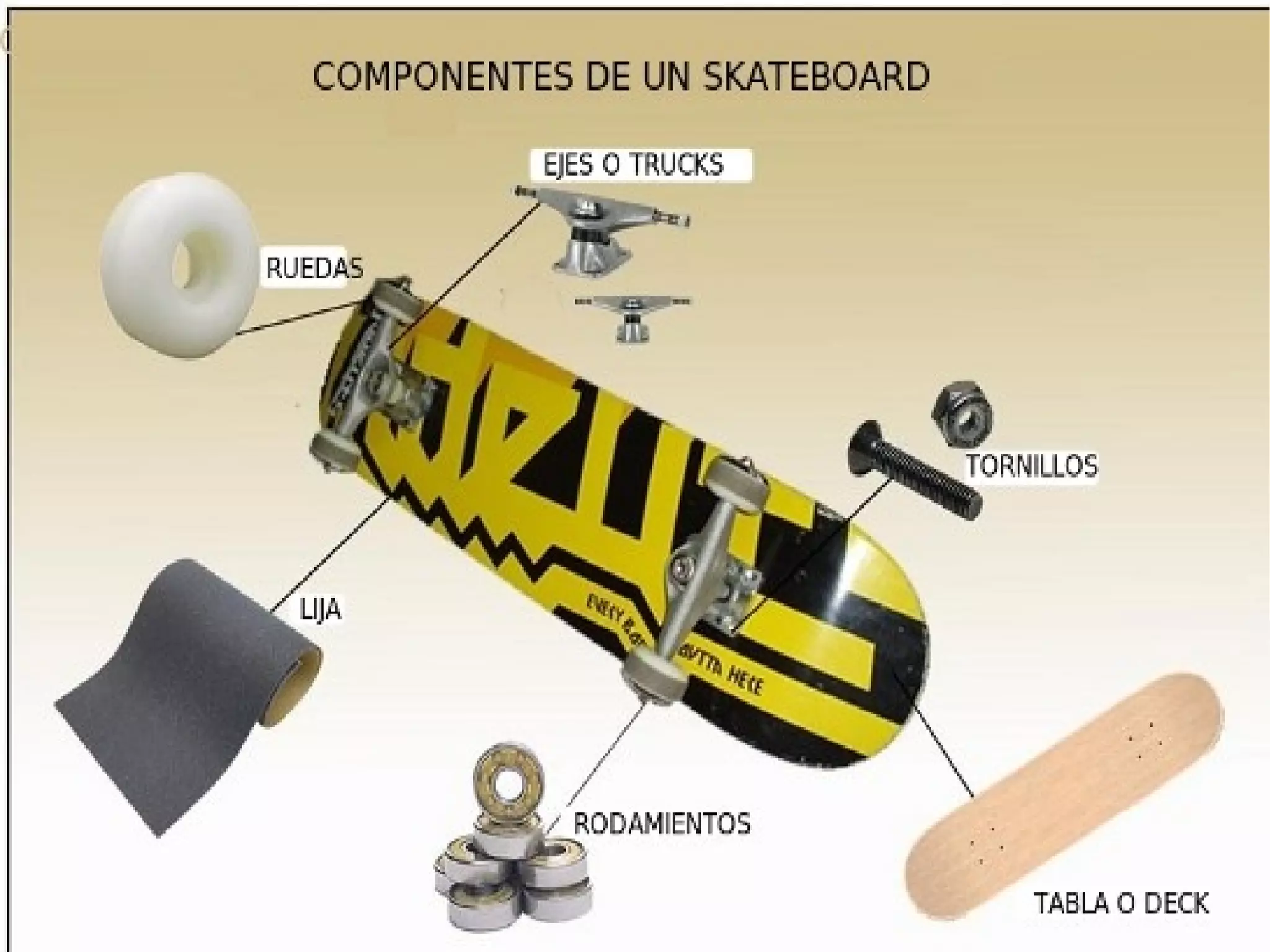 Presentació skateboard | ODP