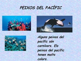 ELS PEIXOS | PPT