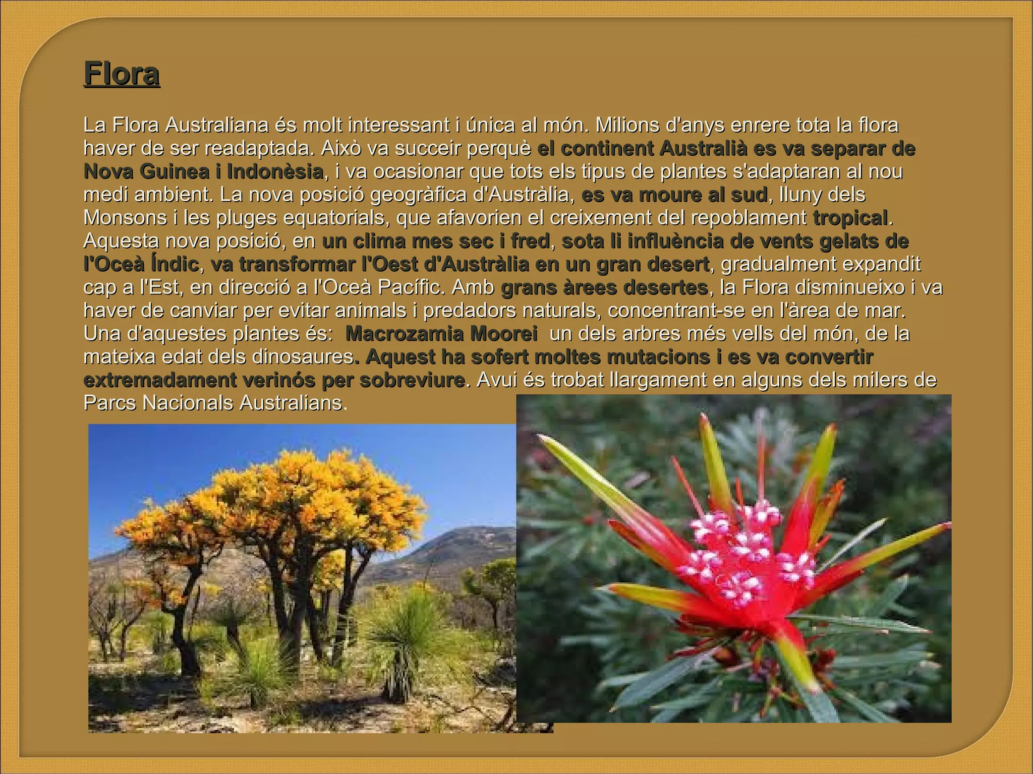 Presentació australia javier rc | PPT