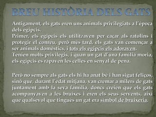 Els gats | PPT