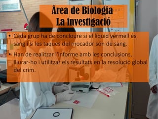 Projecte: S'ha escrit un crim (Ciències) | PDF