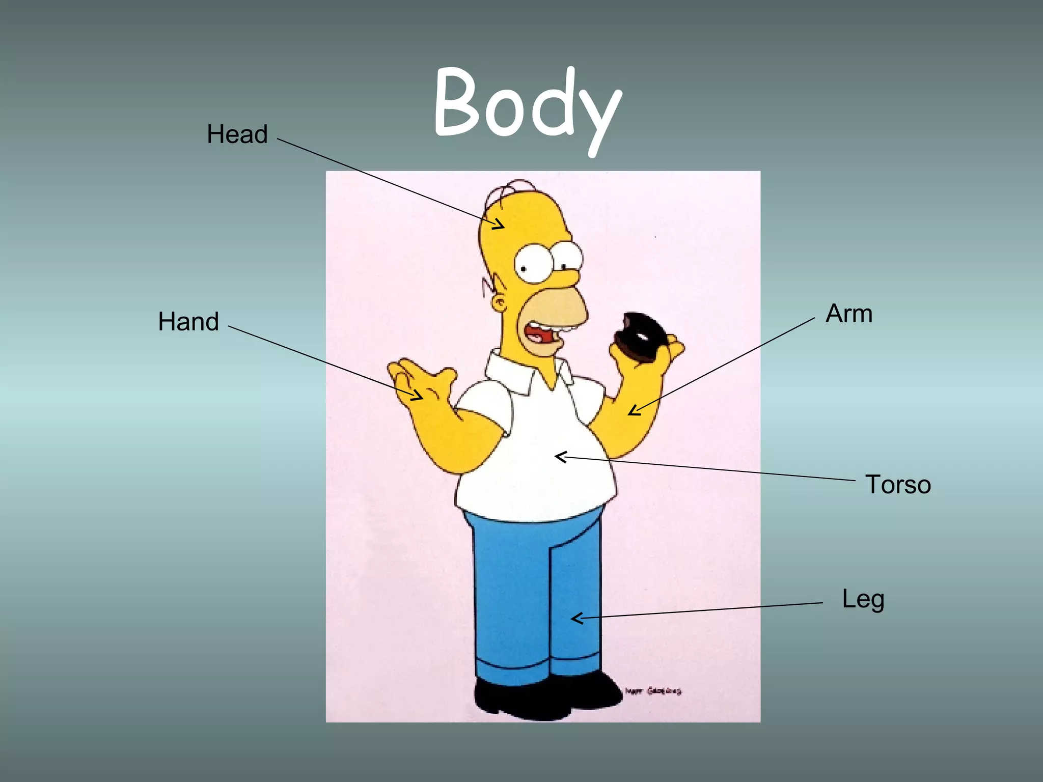 parts of the body | PPT