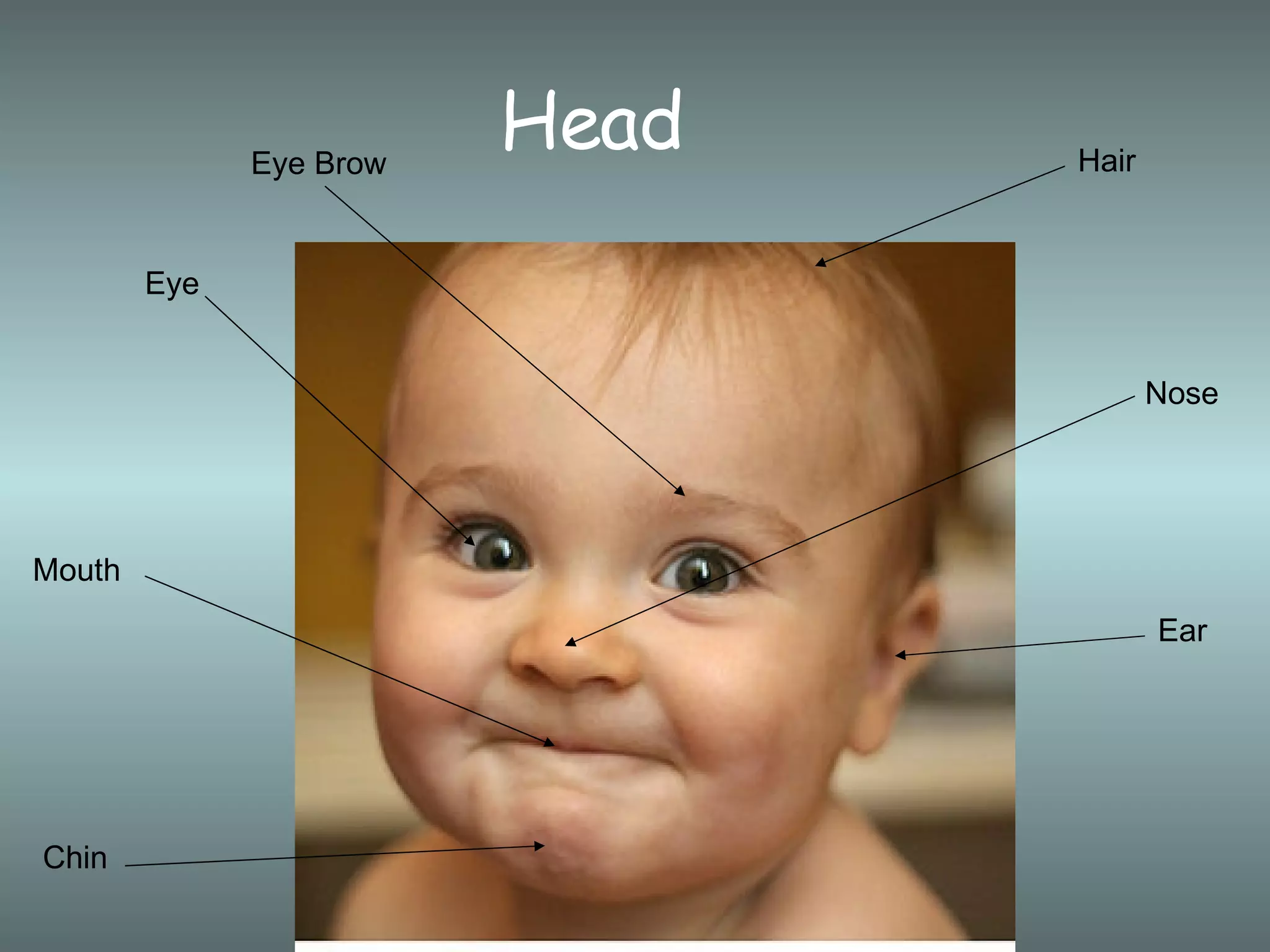 parts of the body | PPT