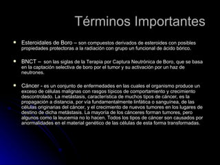 Boro y sus propiedades | PPT