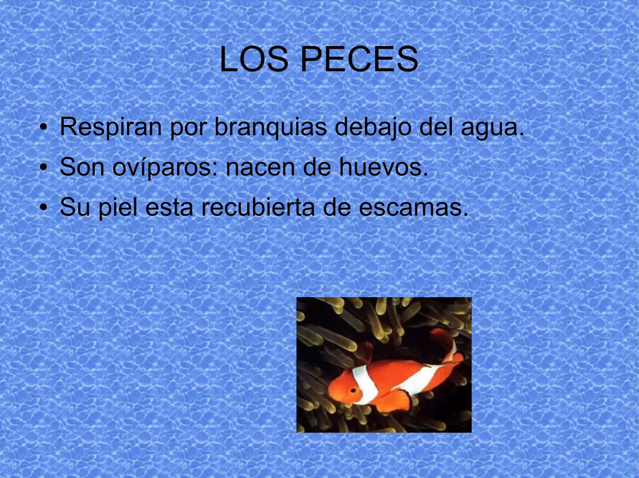 Presentación: Animales vertebrados e invertebrados | ODP | Reptiles | Pets