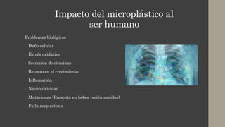 Microplasticos y sus daños a la salud | PPTX