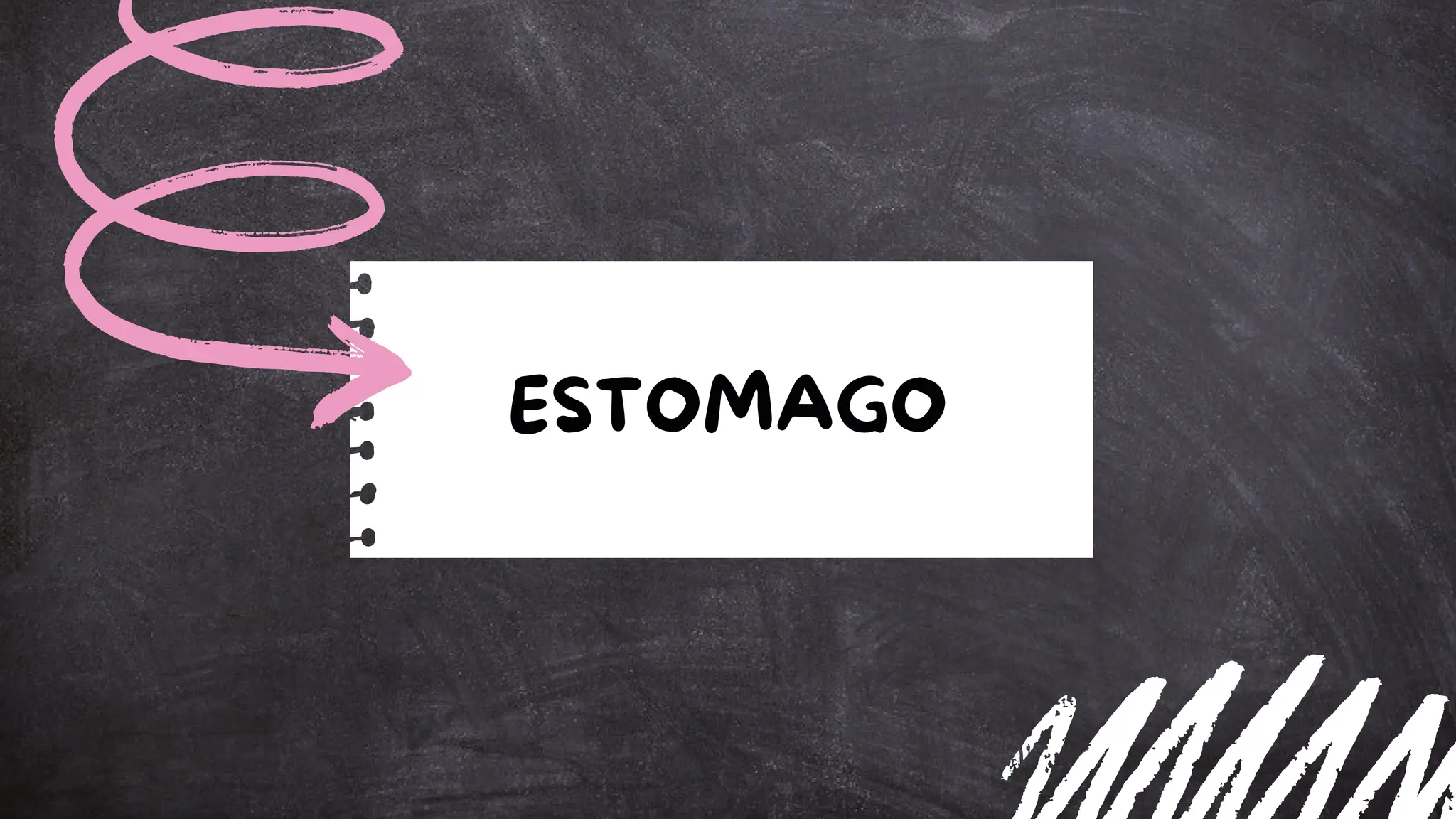 Esfinter Esofagico Inferior Anatomia Humana | PDF