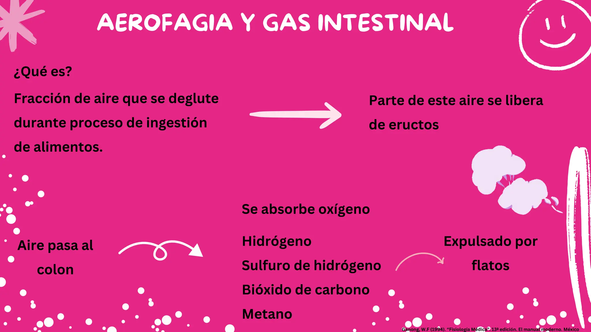 Esfinter Esofagico Inferior Anatomia Humana | PDF