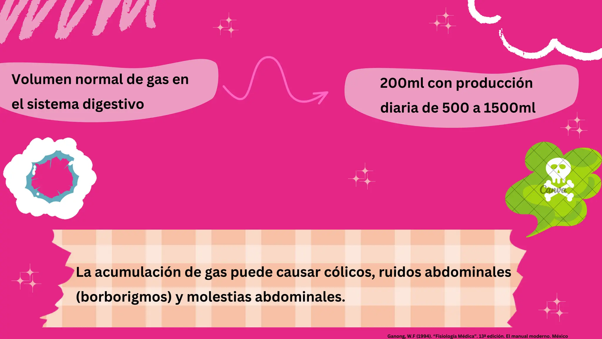 Esfinter Esofagico Inferior Anatomia Humana | PDF