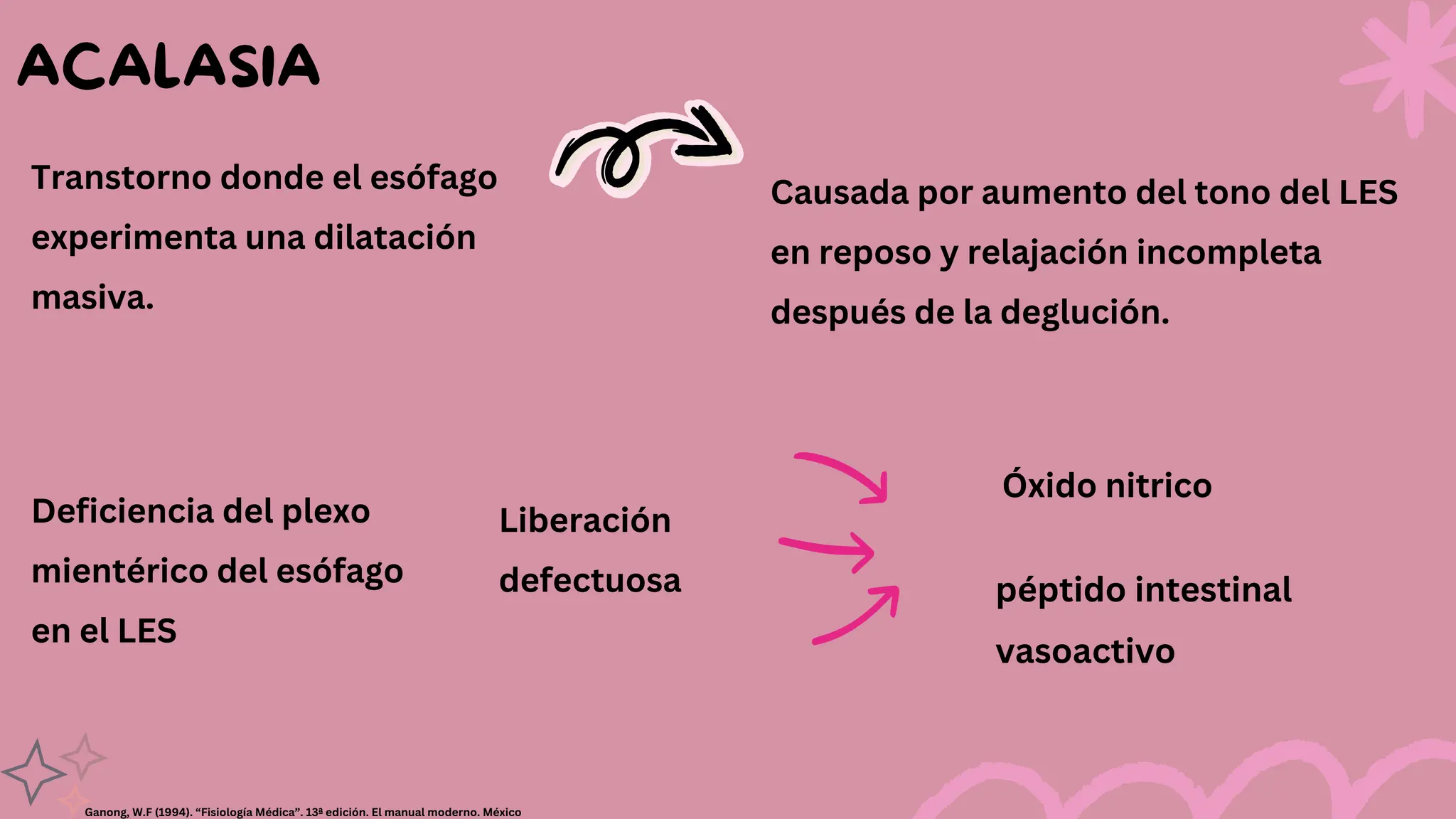 Esfinter Esofagico Inferior Anatomia Humana | PDF