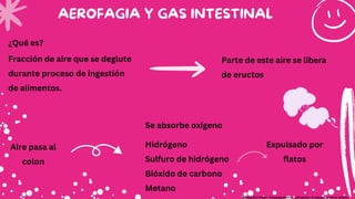 Esfinter Esofagico Inferior Anatomia Humana | PDF