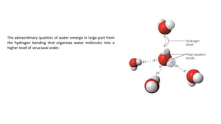 Water in biology ......................... | PPT