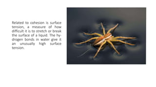 Water in biology ......................... | PPTX