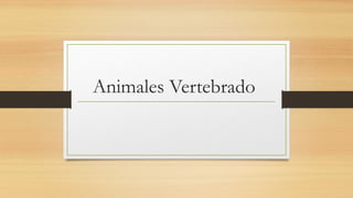 Presentación. Los Animales vertebrados | PPTX