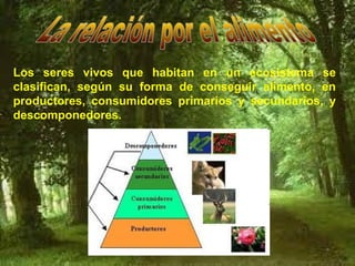 TEMA 4º - LOS ECOSISTEMAS | PPT