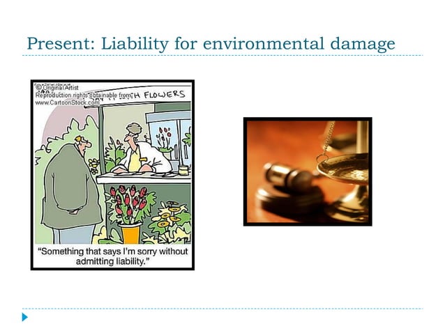 International Environmental Law | PPT