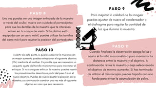El microscopio | PDF