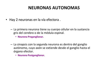 PresentacióN Sistema Nervioso AutóNomo | PPT