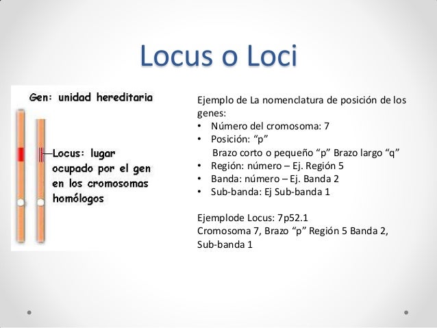 Genética Conceptos básicos