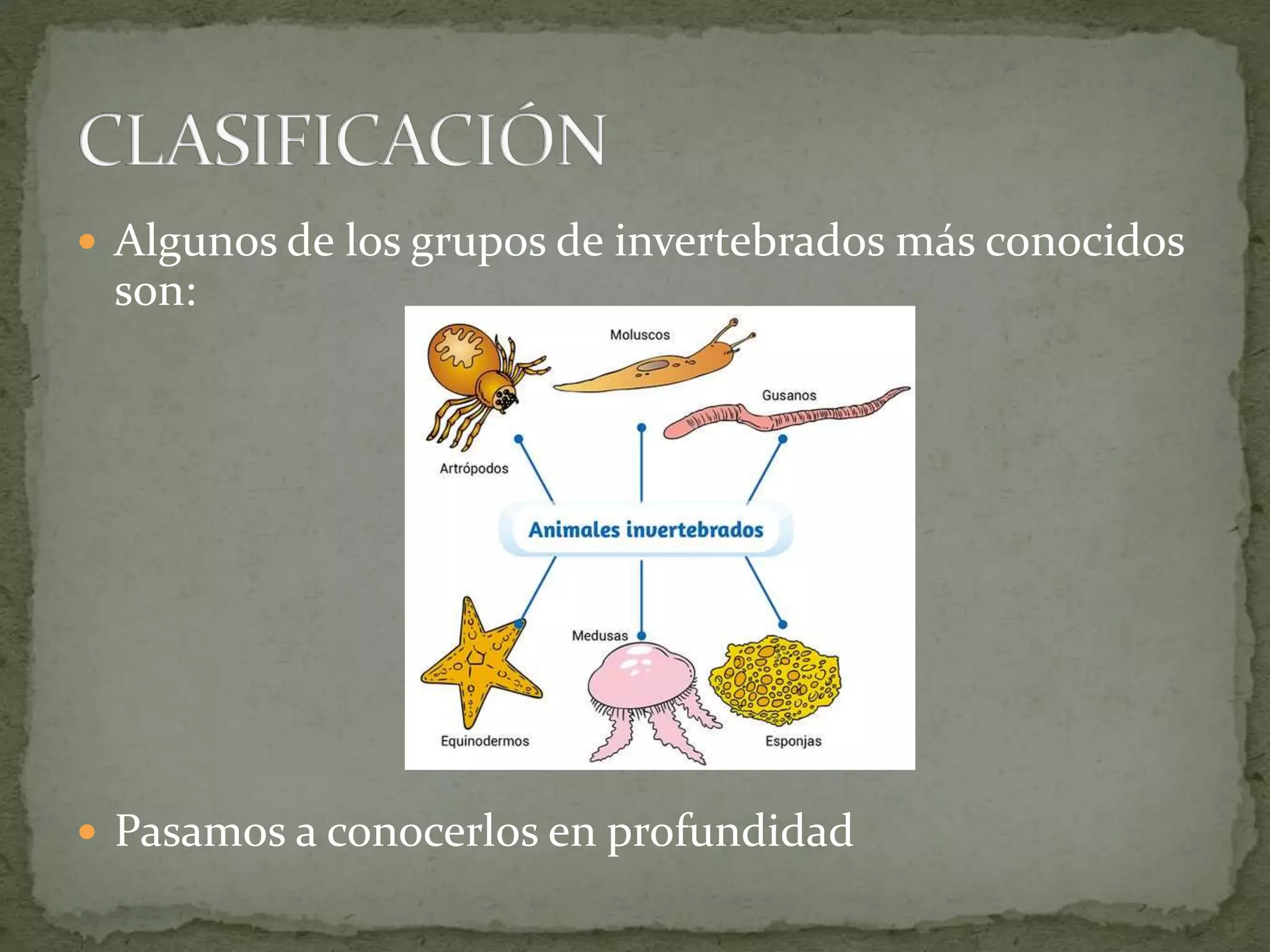 Tipos de Invertebrados 2 | PPTX