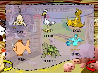 Animals | PPT