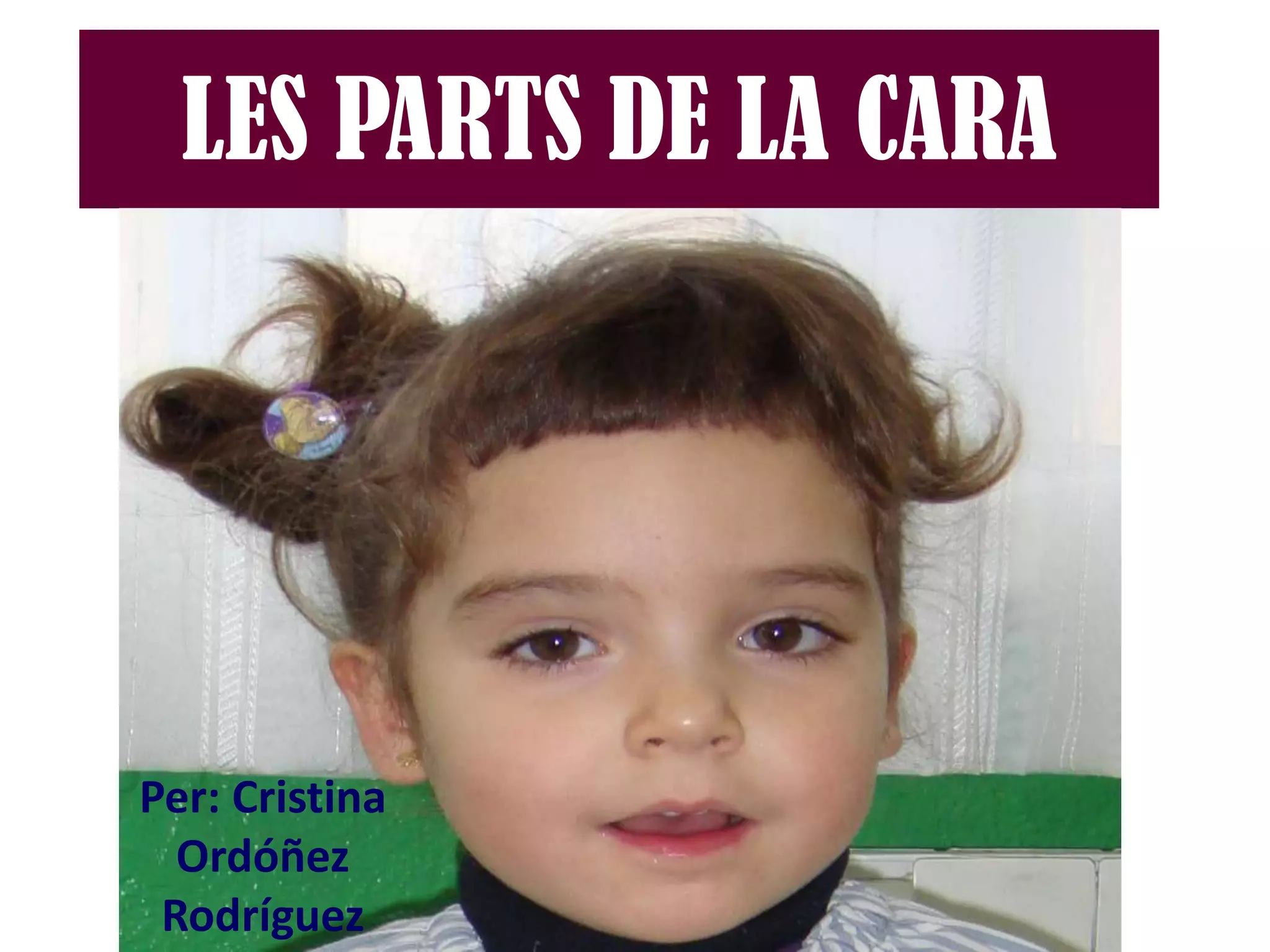 Les parts de la cara | PPT