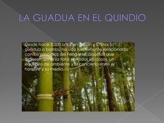 la guadua | PPTX