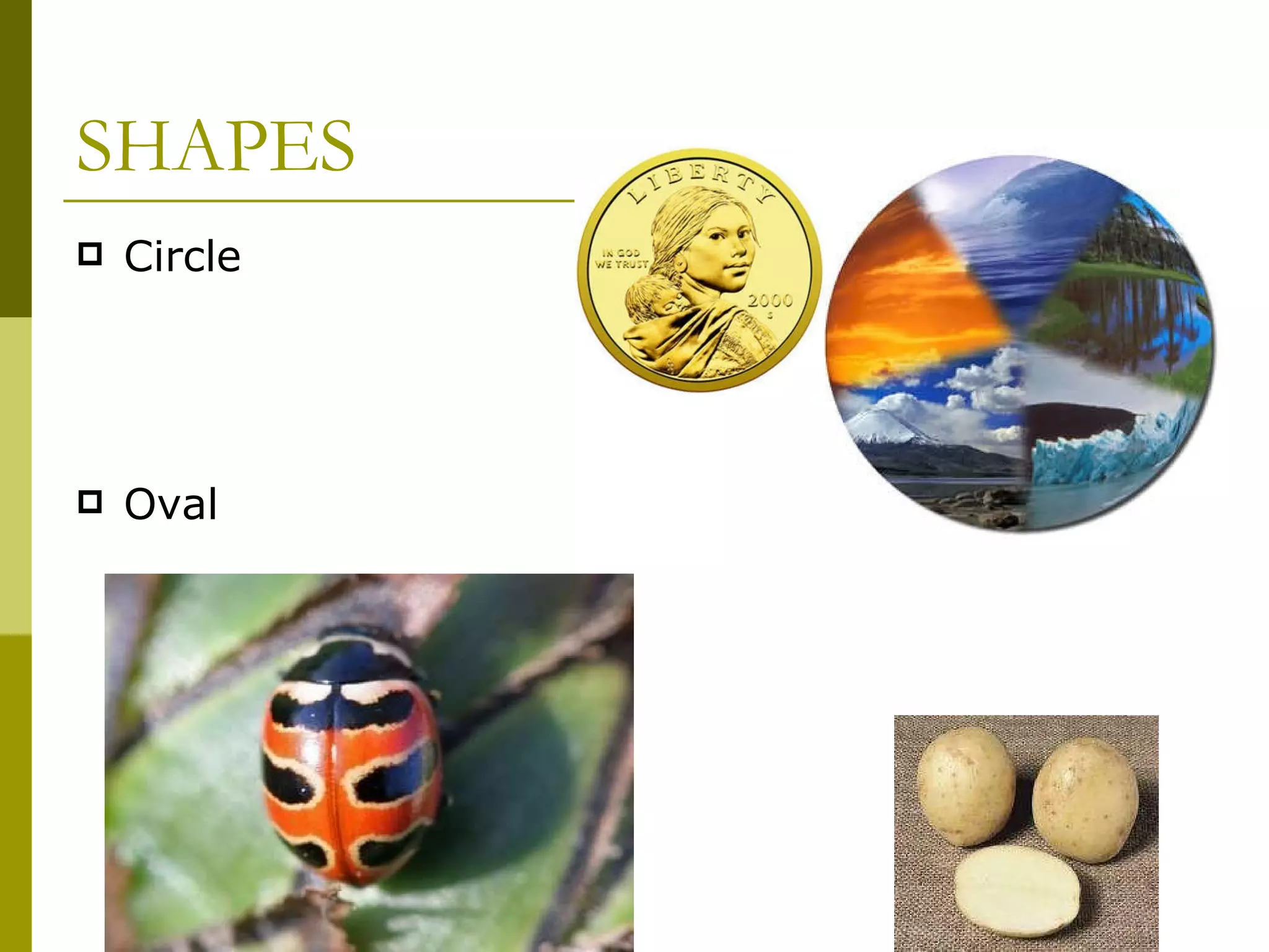 Shapes, Measuring and Sizes | PPT