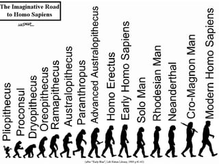 Human Evolution | PPT