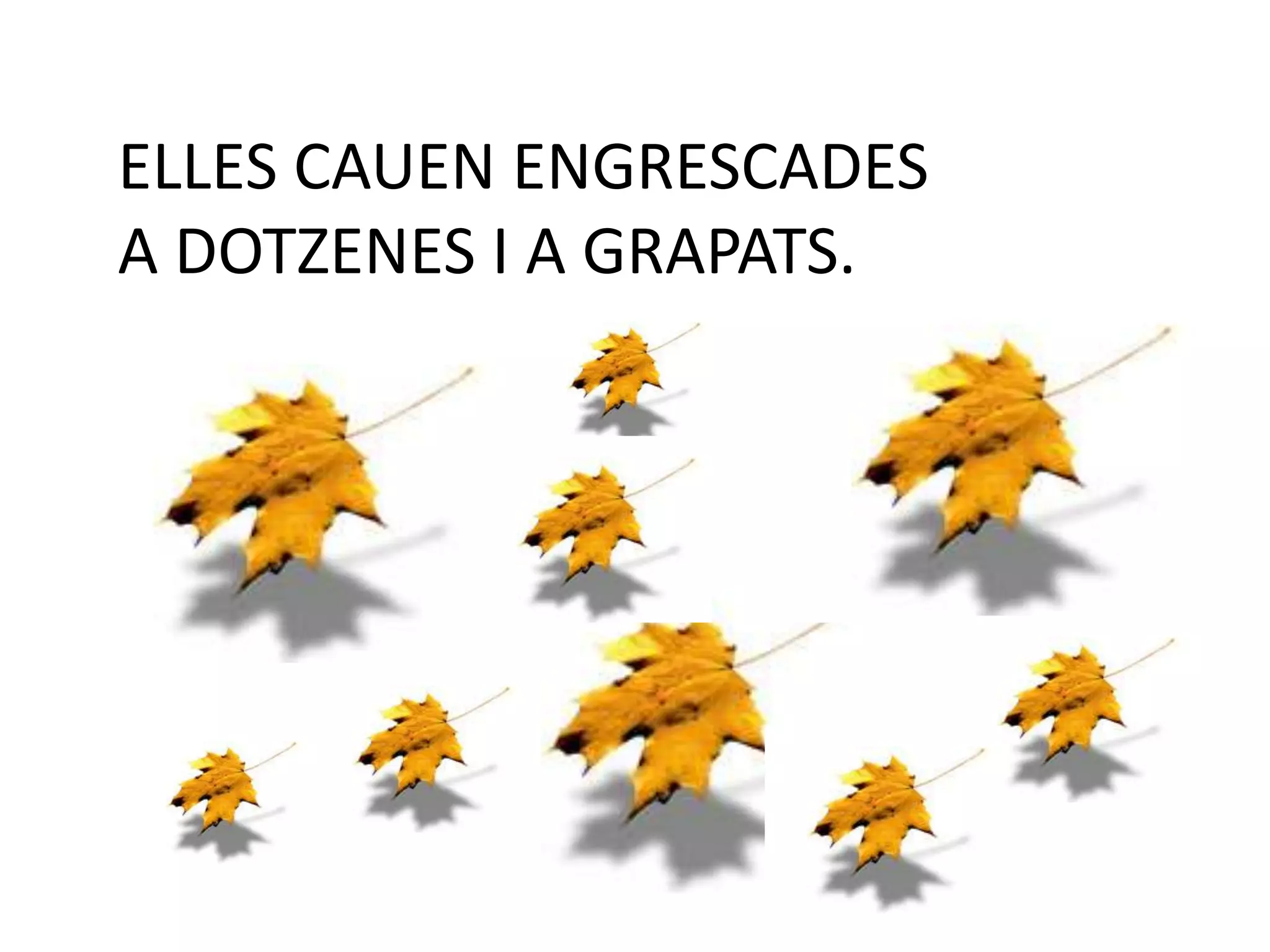 Fulles seques | PPSX