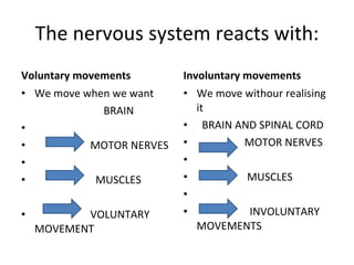 Nervous system | PPT