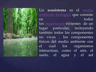 el ecosistema | PPTX