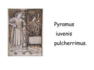 Pyramus et Thisbe | PPT
