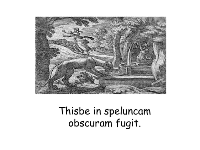 Pyramus et Thisbe | PPT