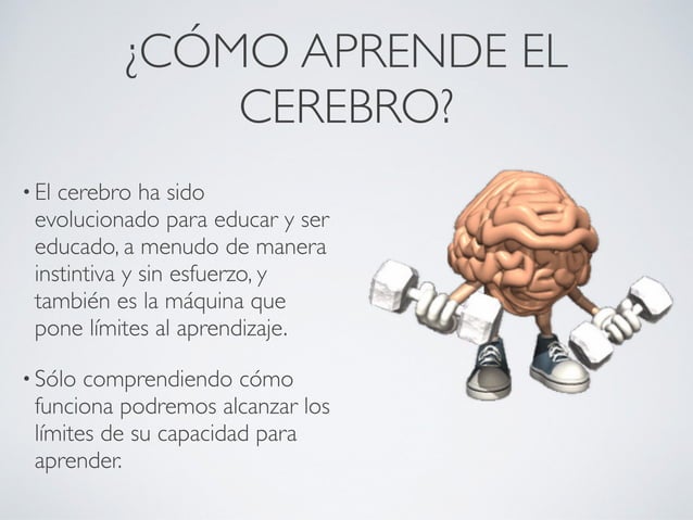 ¿cómo Aprende El Cerebro