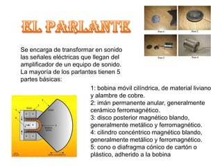 fundamentacion del magnetismo | PPTX