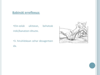 Erreflexuak | PPTX